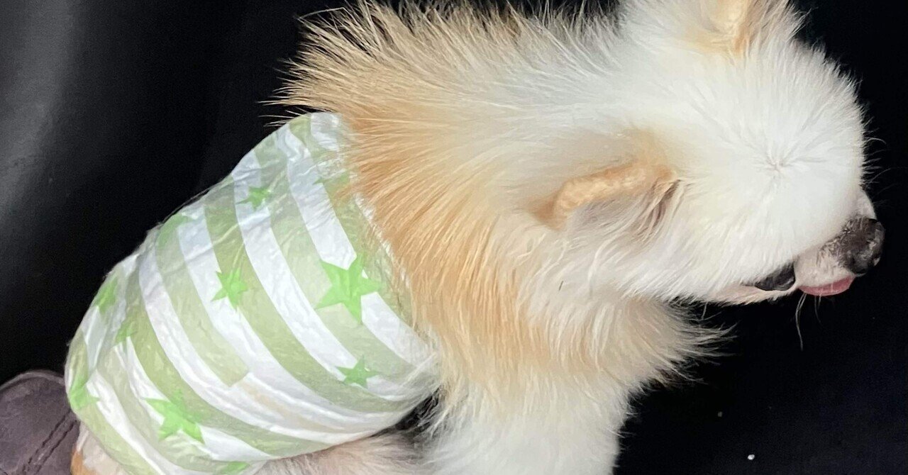 ドライブです｜Akemi