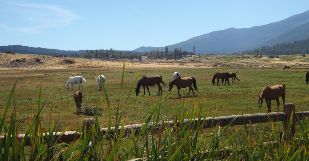 久々に喰らっていた話｜kiyoshi【鐵馬旅人】
