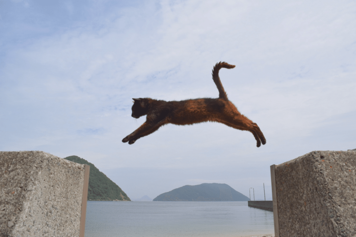 佐柳島｜hatahata_dayo