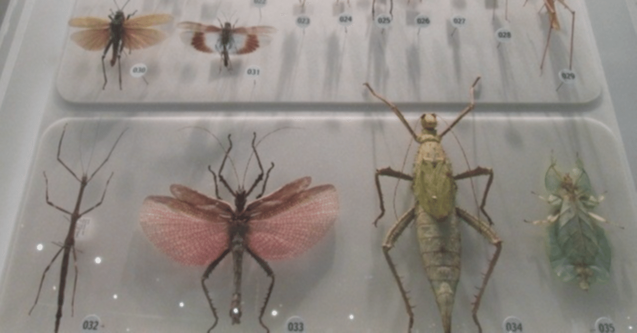 海外で人気の「Get Stick Bugged LOL」とは？詳しく解説｜ロネ