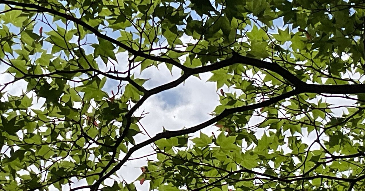 笑って、流す｜yukiko