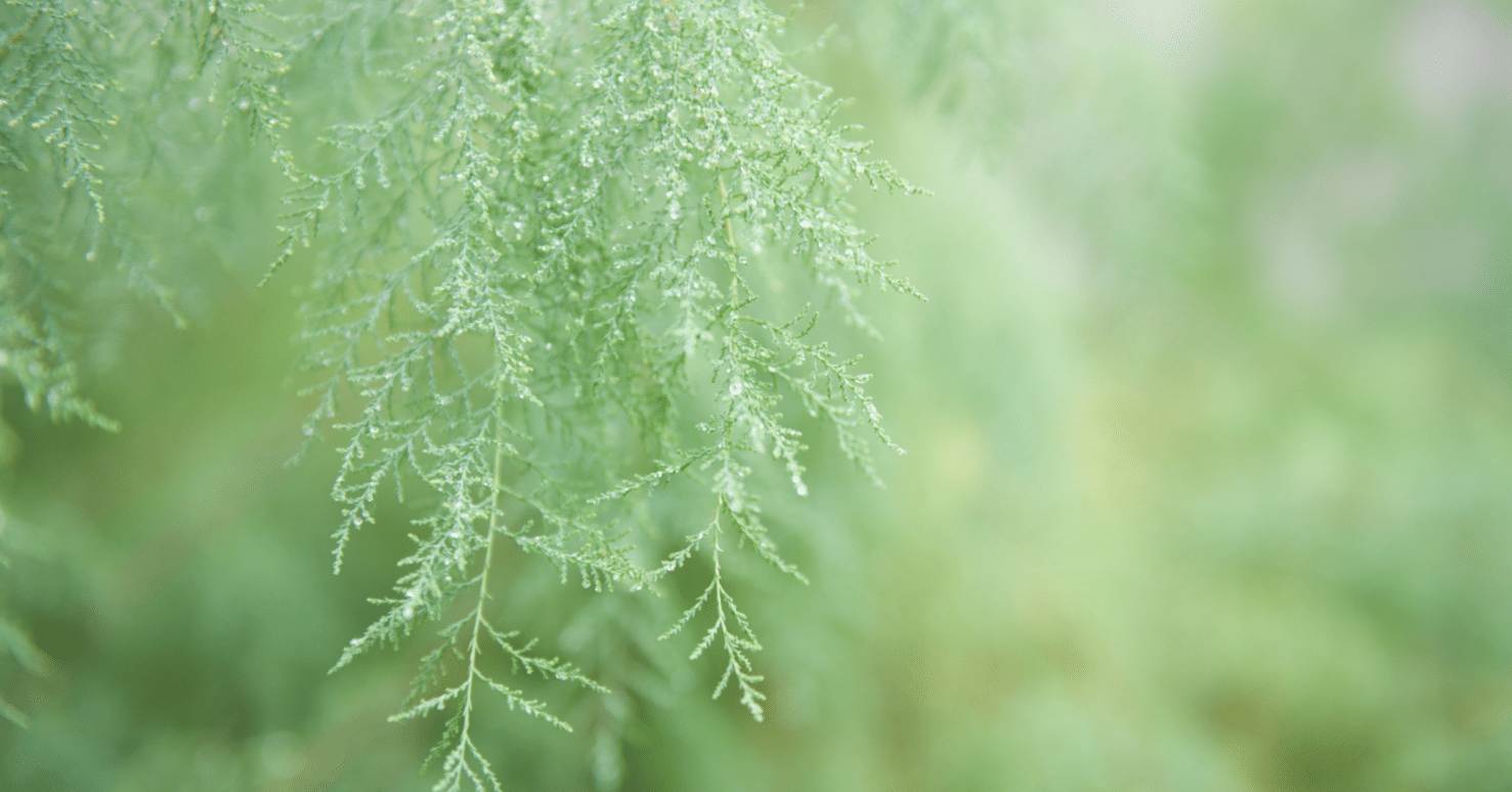 yoake｜兄弟で不登校を卒業するまで｜note