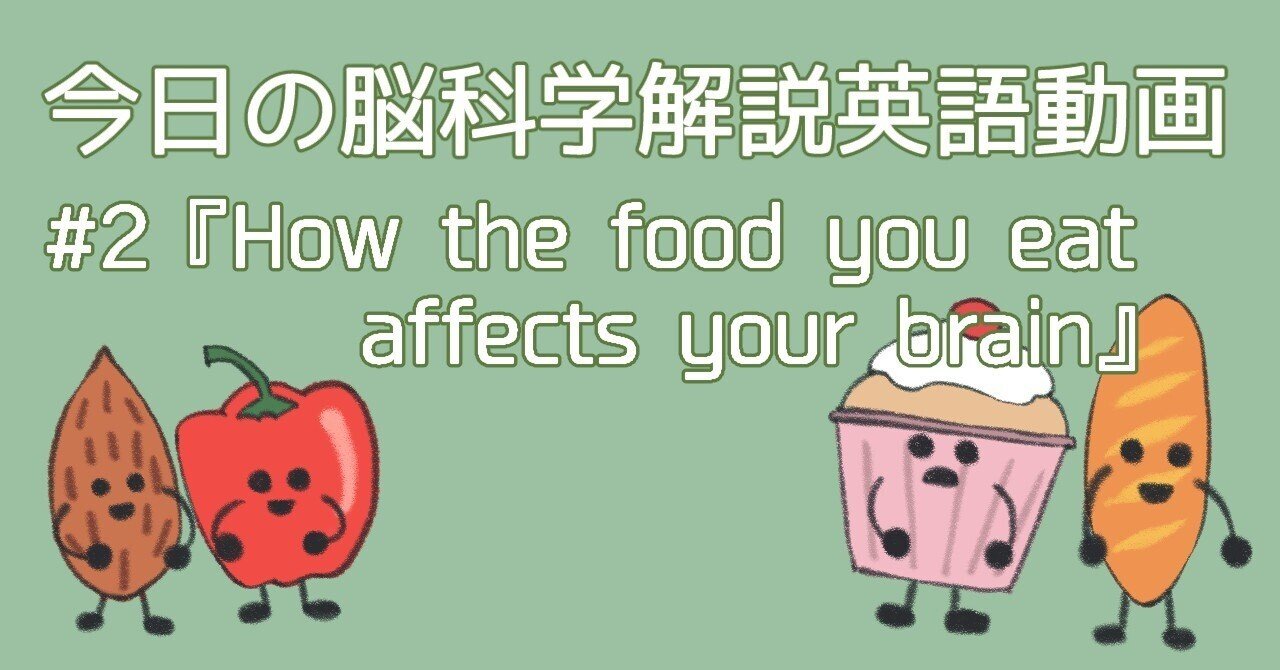 今日の脳科学解説英語動画#2 『How the food you eat affects your brain-Mia Nacamulli』｜りす