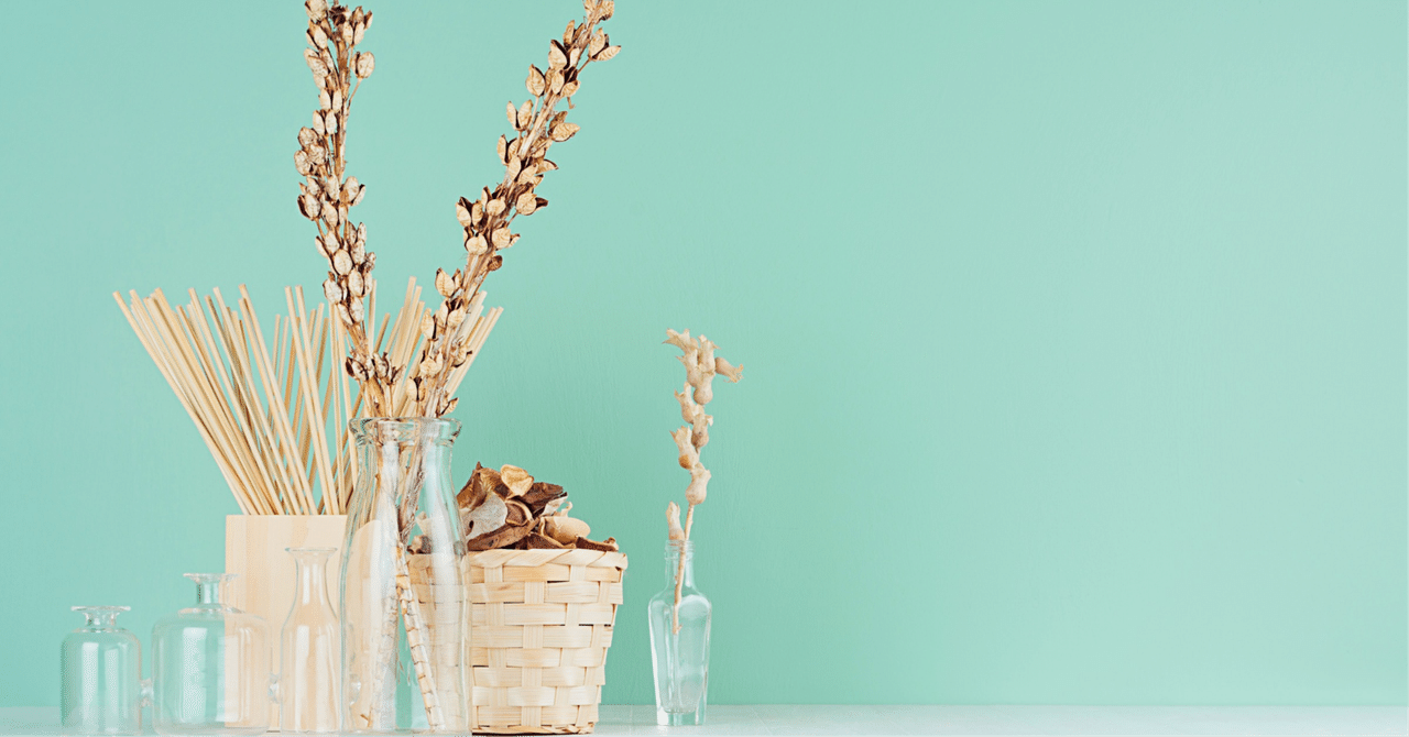 23歳でキャリコンになった私に母が言っていた2つの言葉｜【心の調律師】染名（sena）