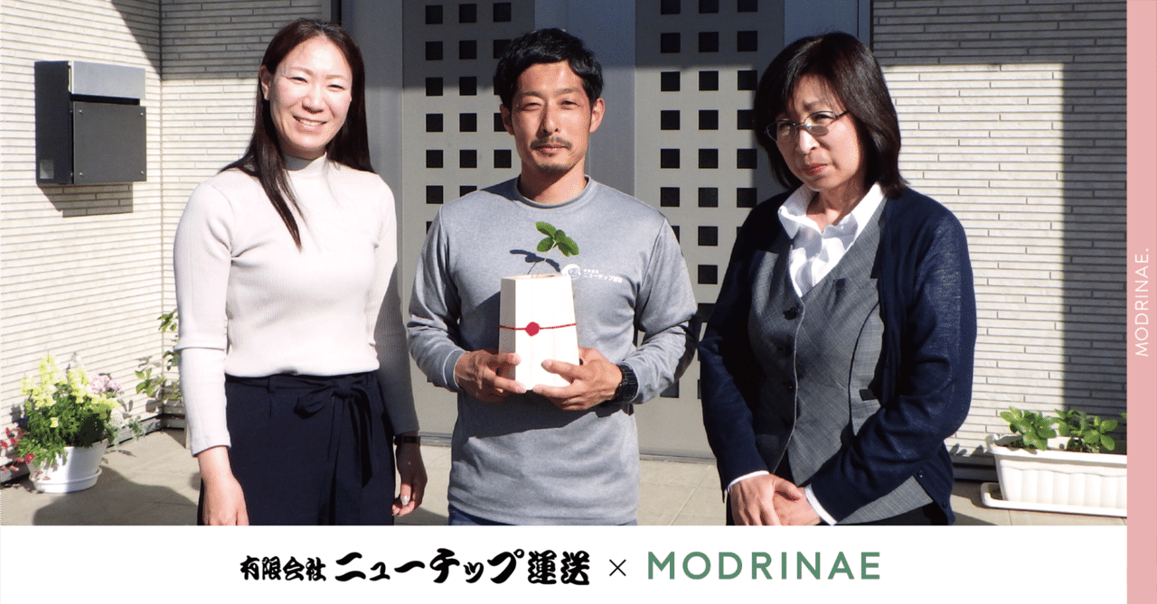 60年以上「木」を扱ってきたニューチップ運送の「森への恩返し」｜戻り苗活用事例｜MODRINAE | 木と生を共有する。