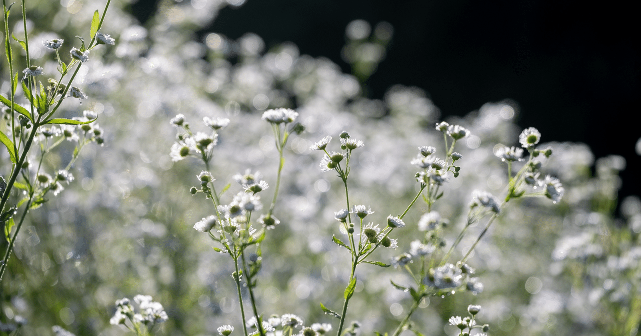 マッチングアプリシリーズ note一覧｜恋活のプロ Nanami Gigi
