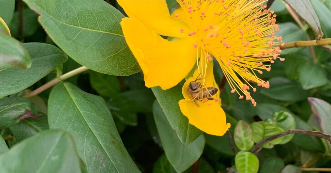 浜松市議とおやまの 2025/05/30の活動｜遠山将吾（浜松市議会議員）/ Shogo Toyama