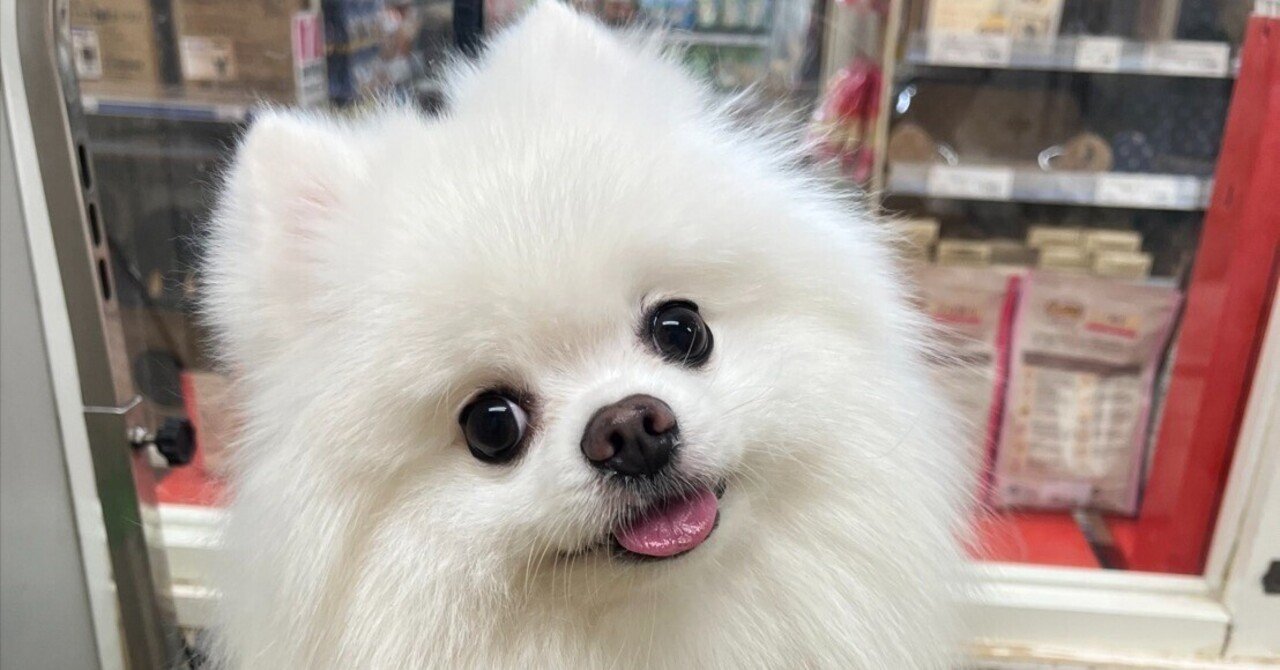 ありがとう｜mimi