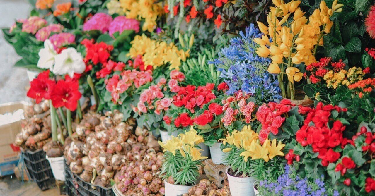 第二の約束 なにごとも個人的に受け取らないこと｜mariko🍀「四つの約束」をつなぐ人