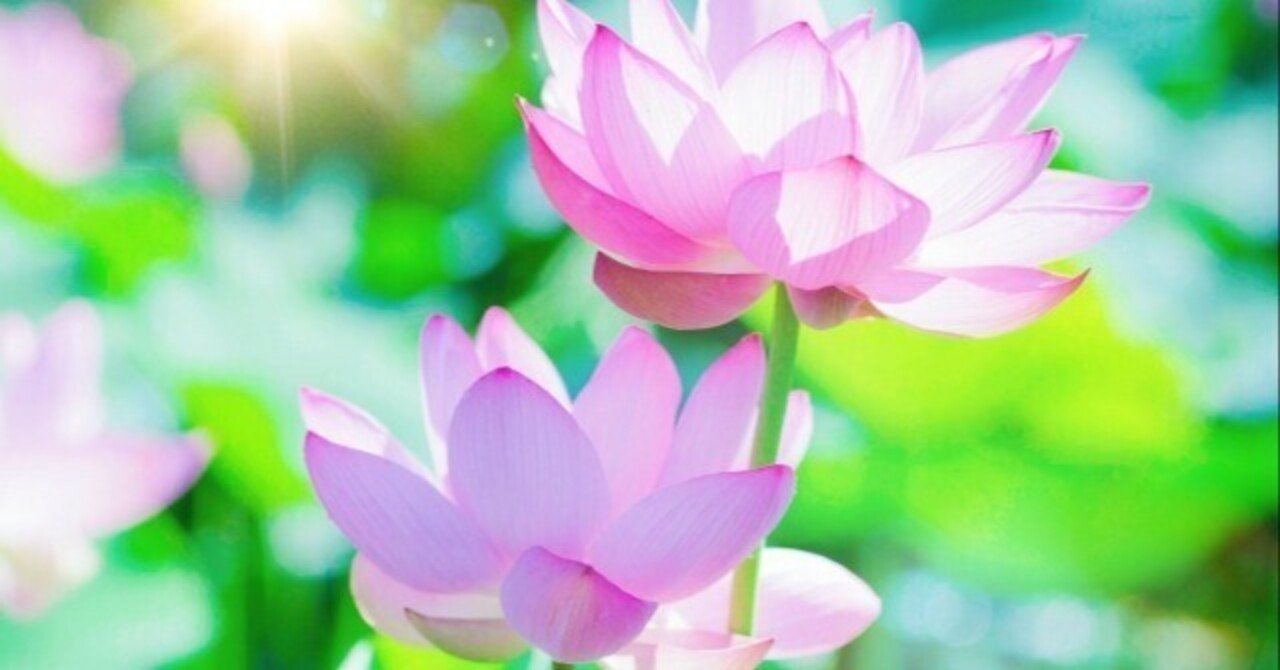 自責・無価値感と罪悪感を手放す｜Yuga(Me)