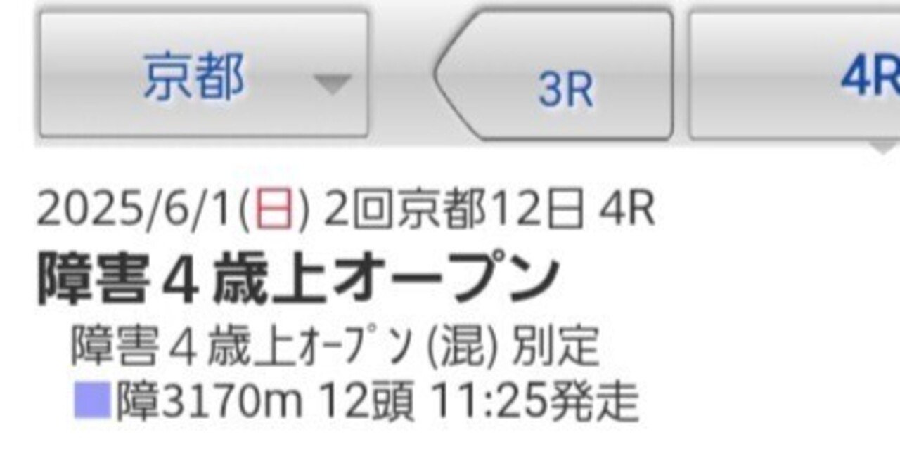 6/1(日)京都4R 障害オープン｜OK