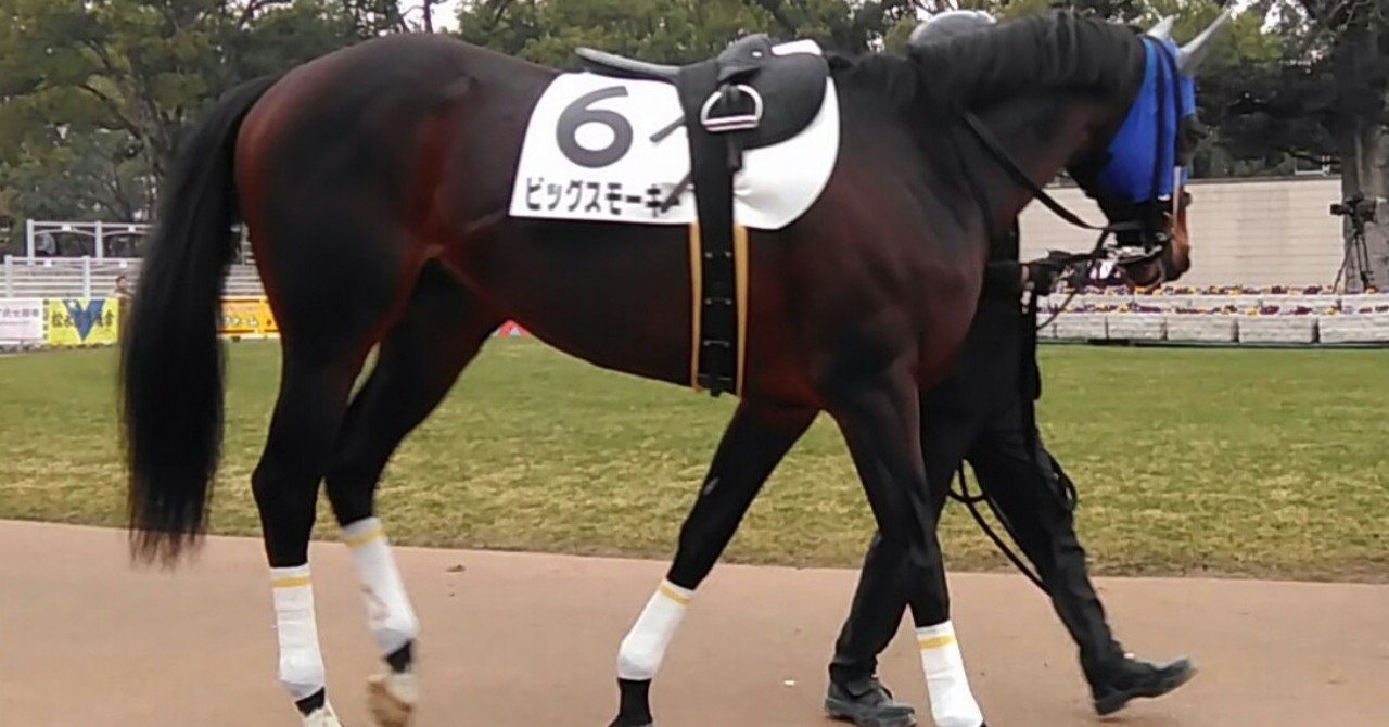 2/15（土）京都4R 1番人気馬｜JRDB 競馬アラカルト