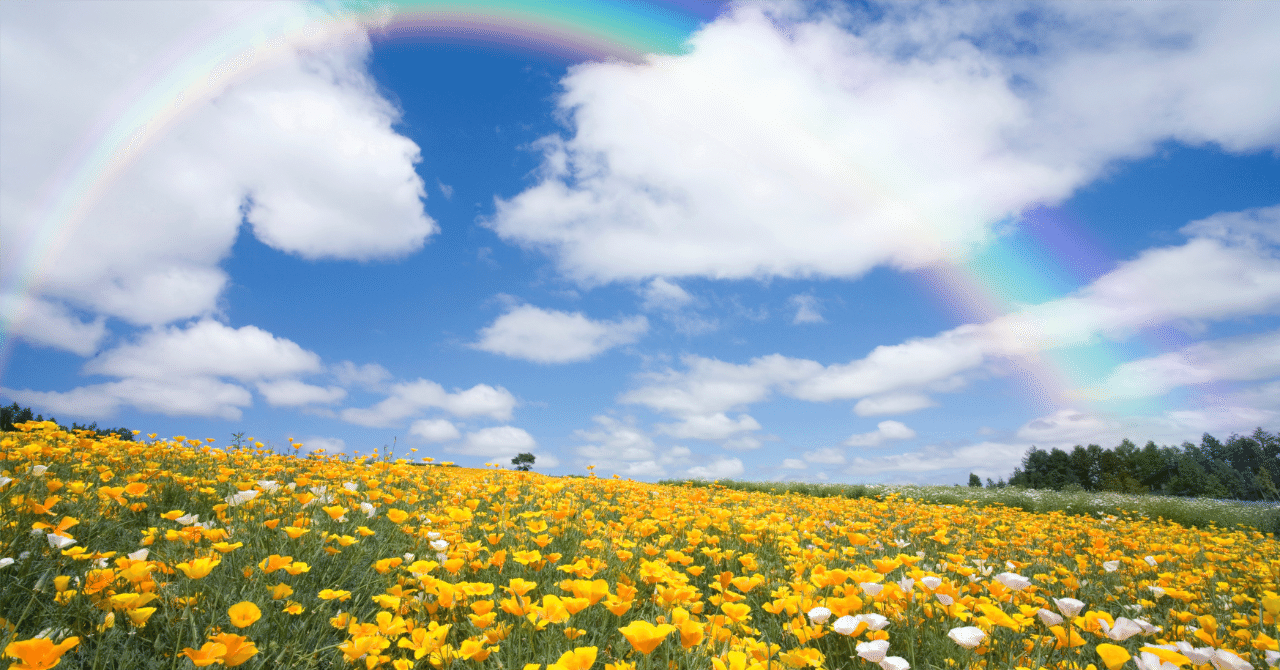 Koki_Kobayashi｜note