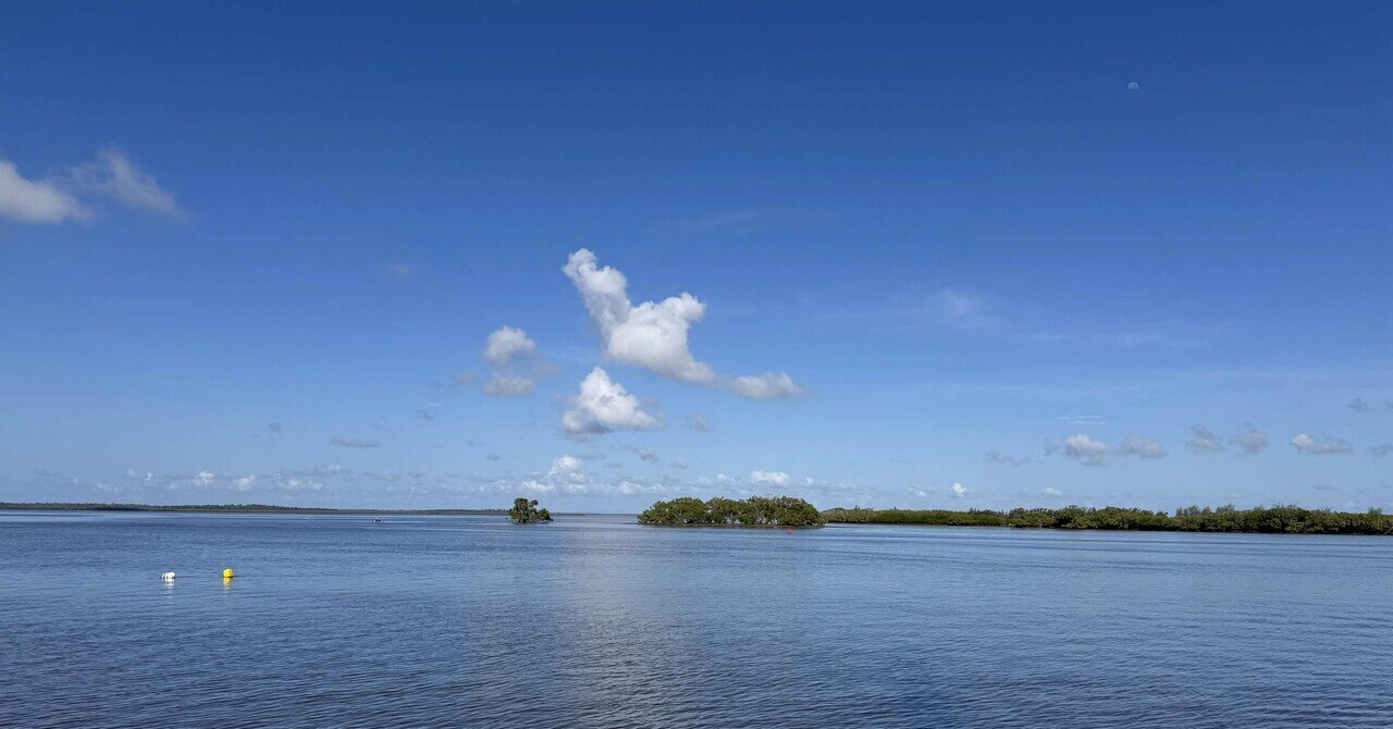 「自己肯定感が低いあなたへ」たった1つの習慣で、人生が変わった話。｜feel_hiroki