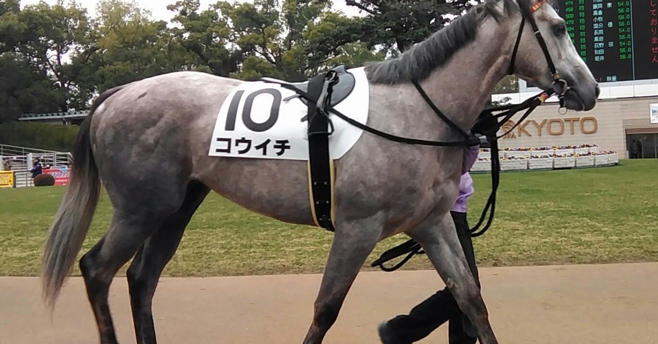 2/15（土）京都6R 1番人気馬｜JRDB 競馬アラカルト