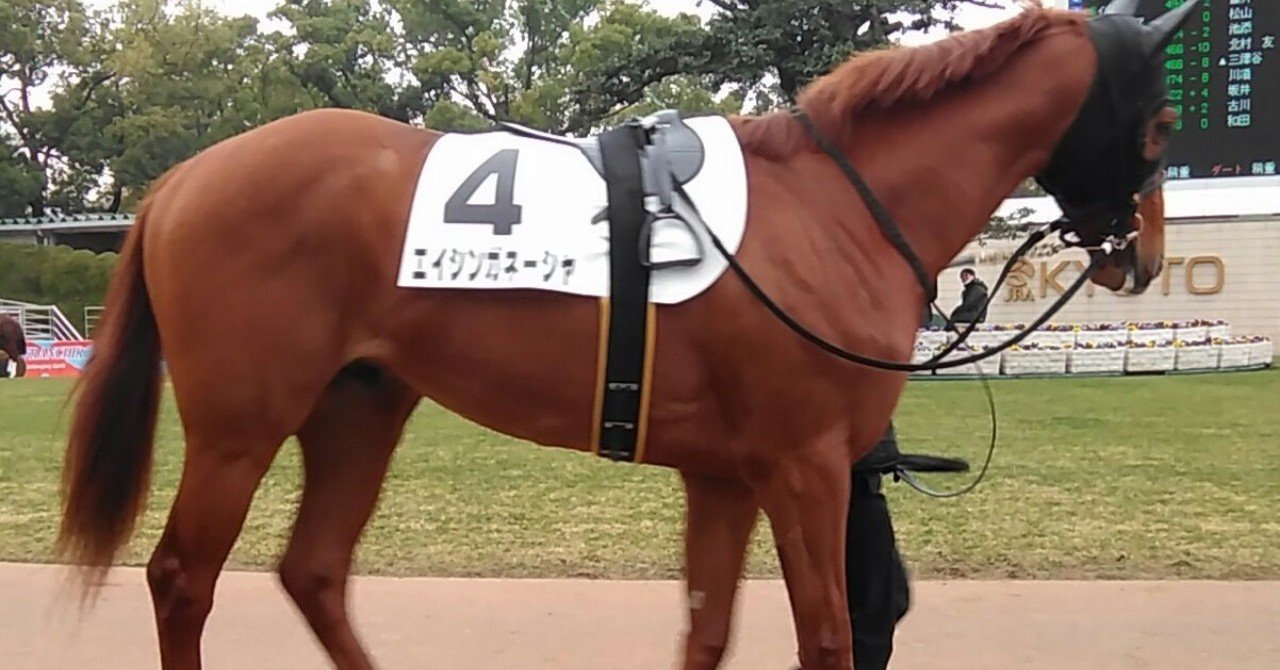 2/15（土）京都7R 1番人気馬｜JRDB 競馬アラカルト