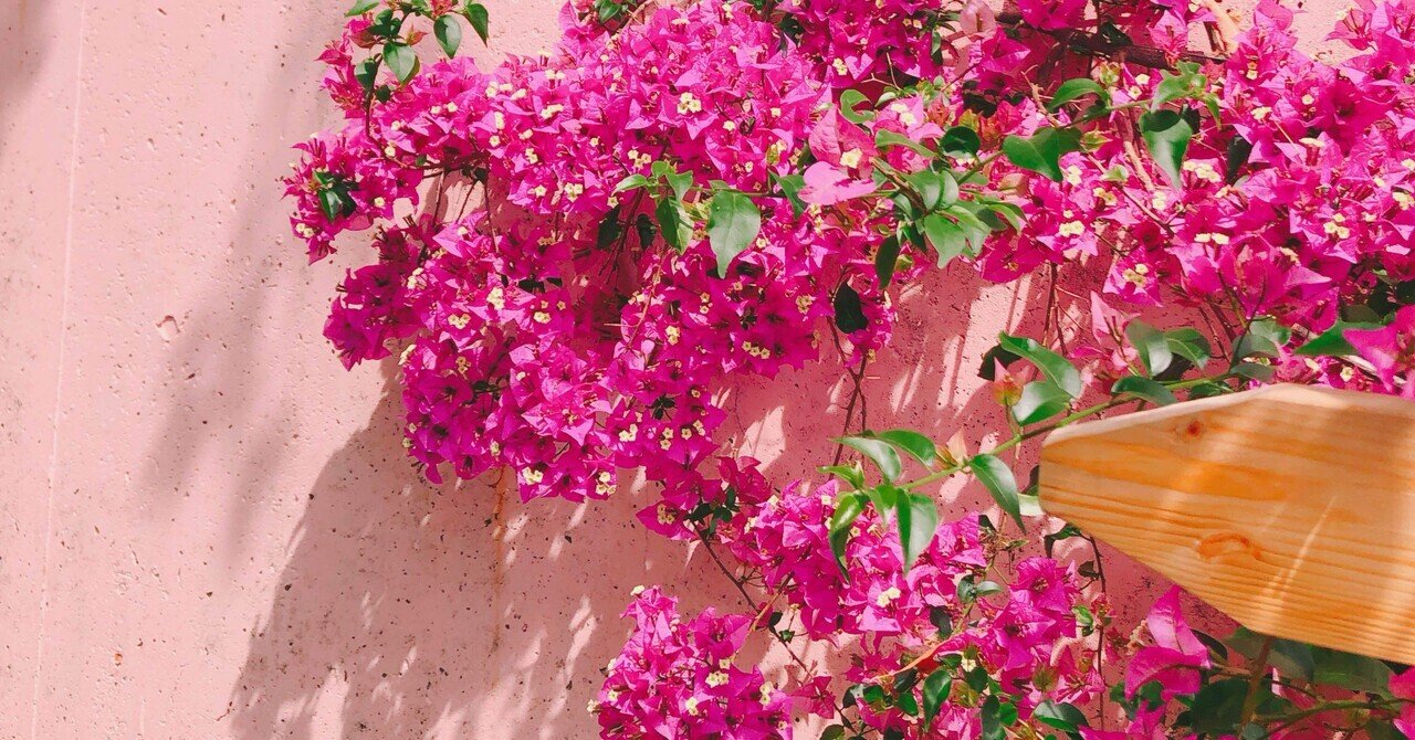 自己紹介｜30歳フリーター｜現実を知る｜はじめてのnote｜chii