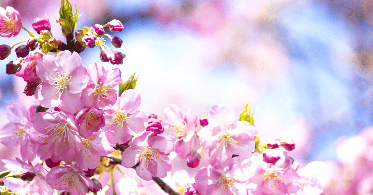 DAY19：「語れる」ようにする──言語化がPDCAの再現性を高める｜佐藤 康宏