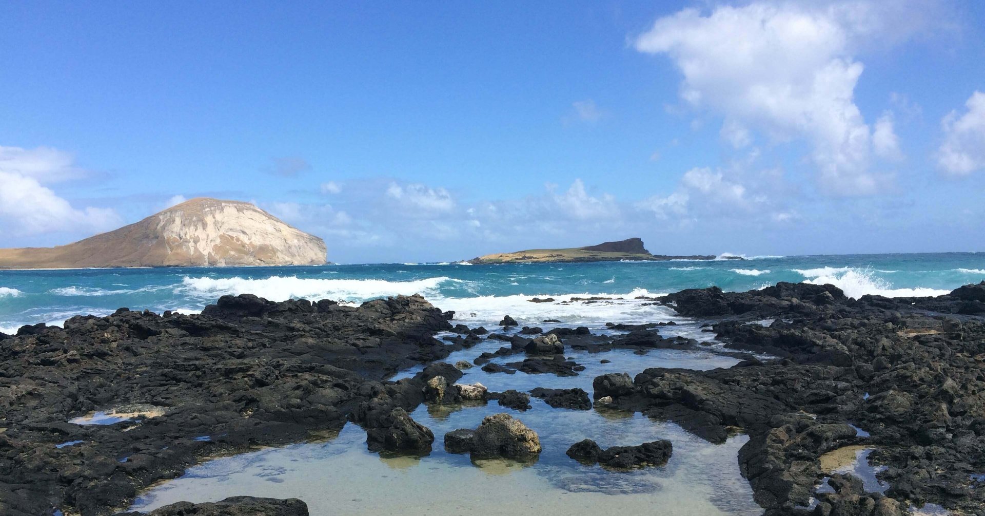 Hummingbird Kana ｜note