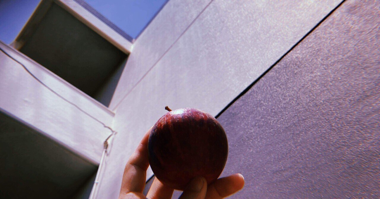 親愛なる、りんごへ。｜Seiya Asano