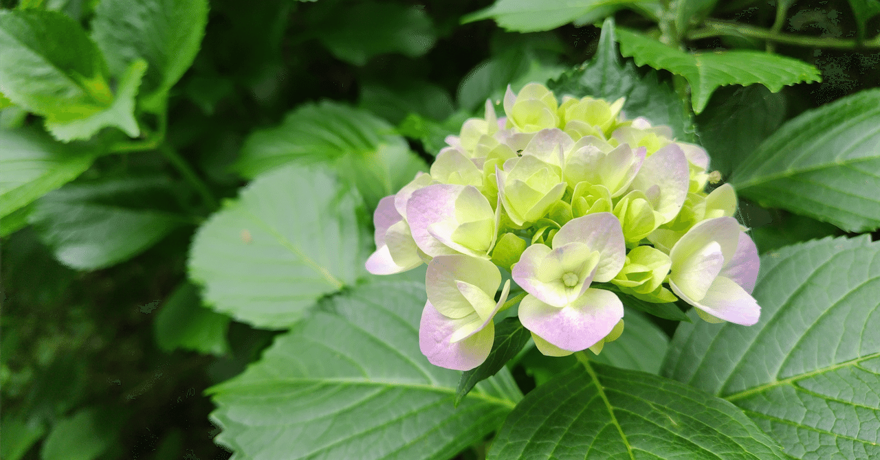 40代FIREの仕事｜マイケル