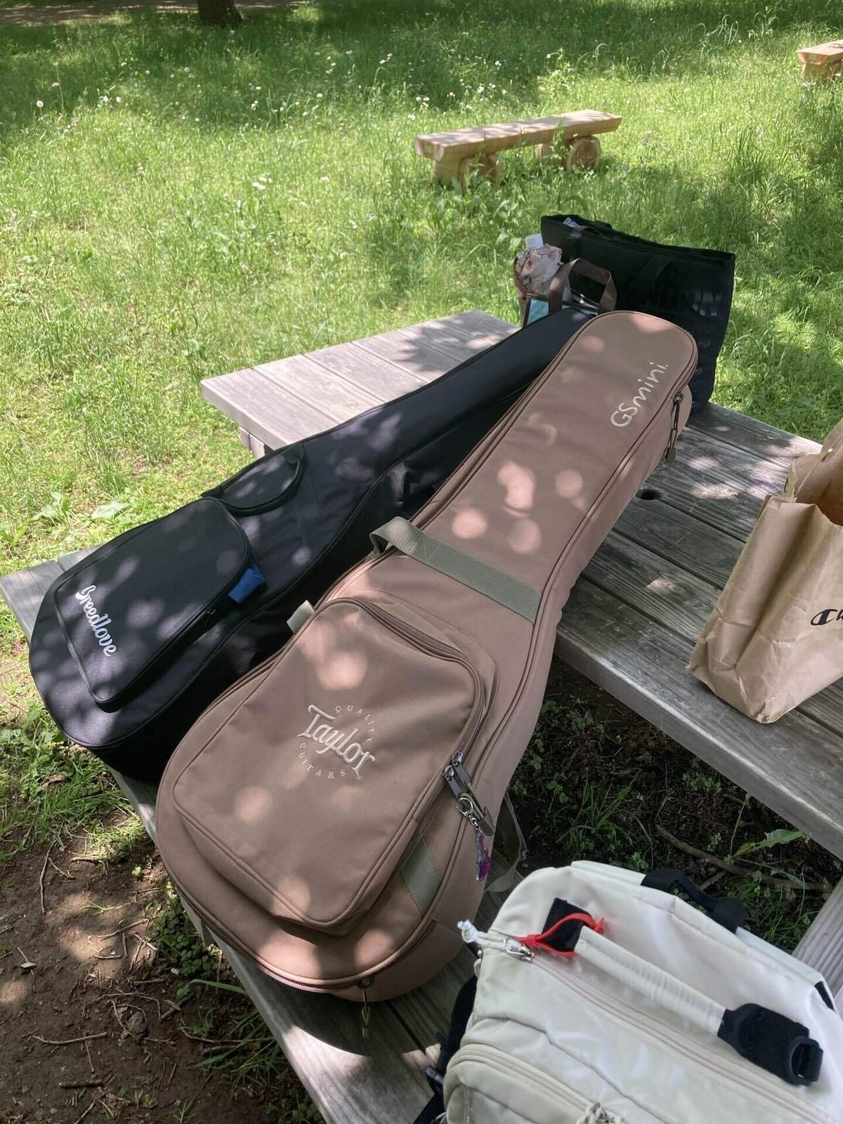 ふんだりけったり、でも生きてる｜羽田りさ｜Risa Haneda