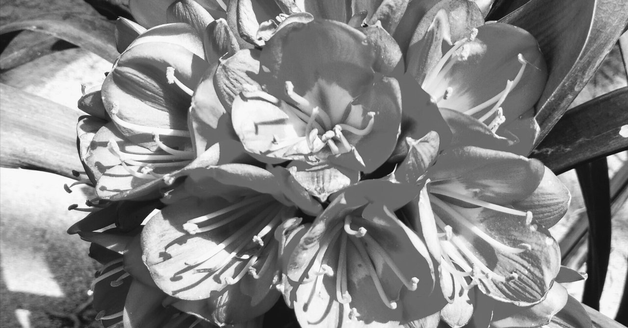 shape myself 2｜真綿