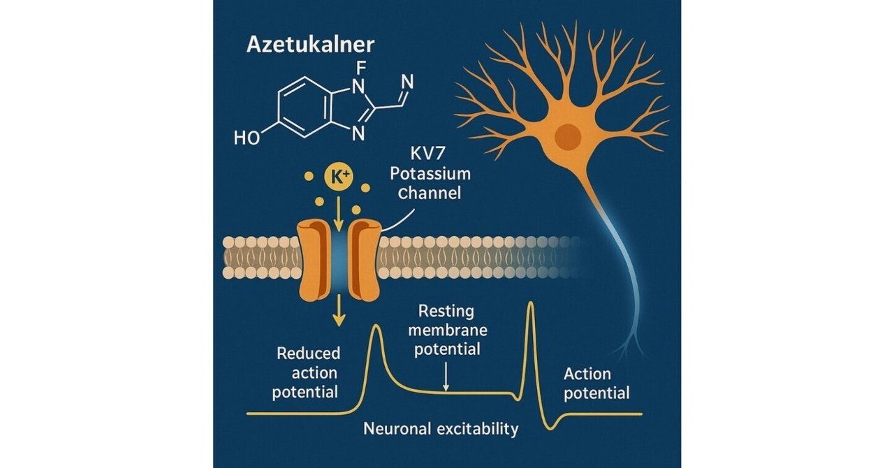 大うつ病アゼツカルネルAzetukalner：新規KV7カリウムチャネルオープナー 治療薬可能性｜Makisey