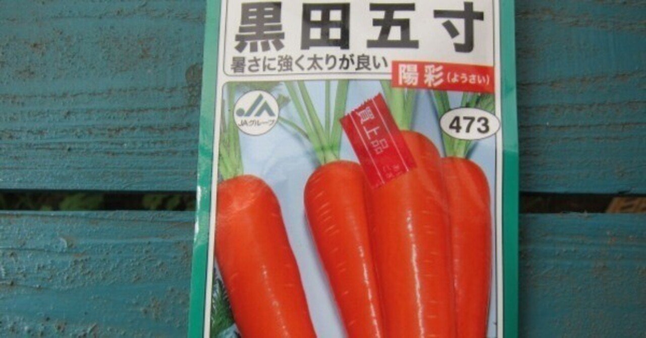 ファイルNo11「にんじん成長記録」｜mi.no.ri.