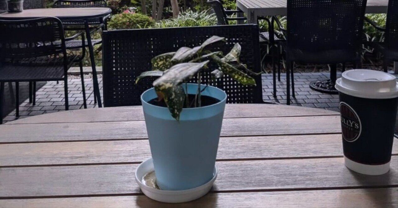 2025.06.02.｜Toru Sato