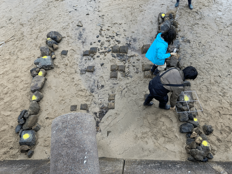 福岡市西区今津干潟石積み作戦！｜しばた みなみ｜note