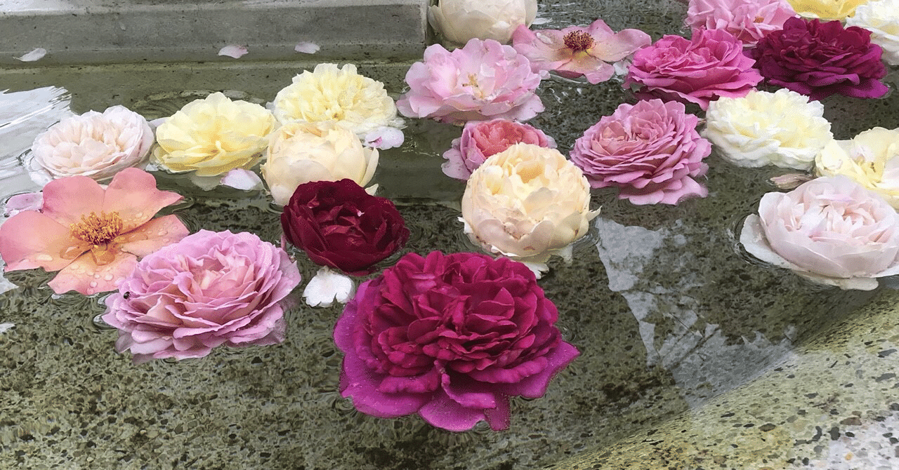 大切なあなたへ。｜アサ｜note