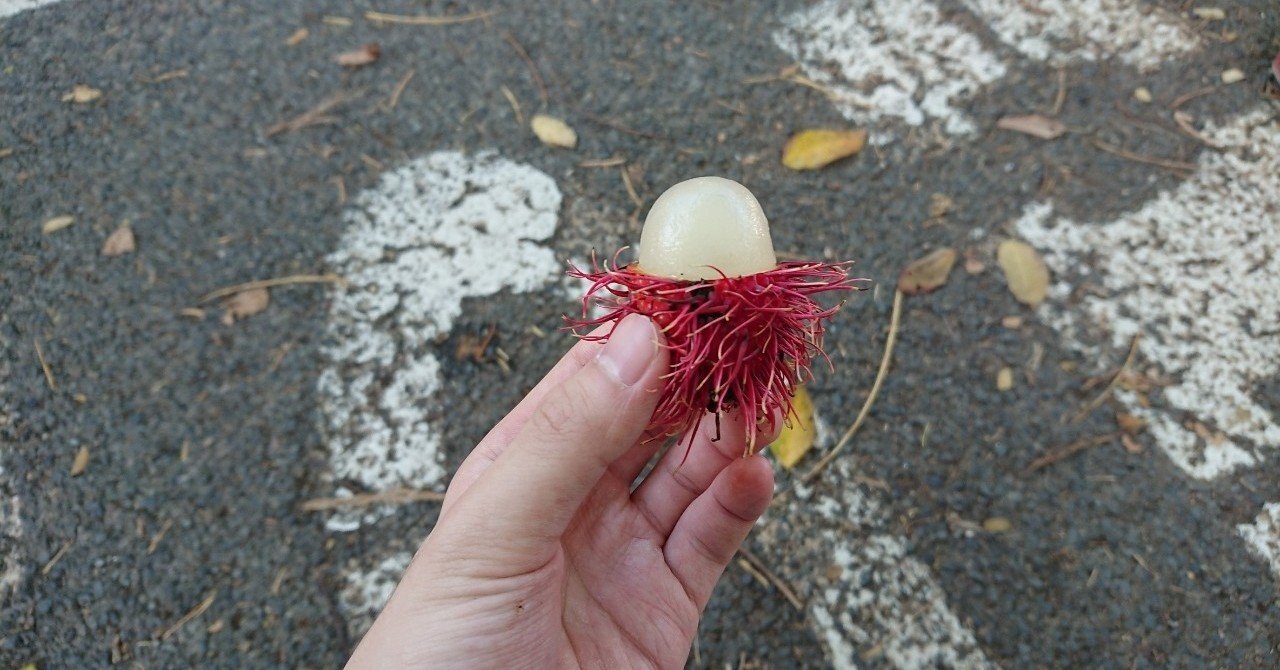 時差 - 2020/2/15｜Shohei Doi