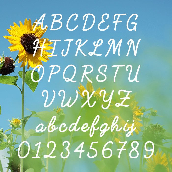 FONT&PHOTO SCRAP｜004｜東出桂奈（ Keina Higashide