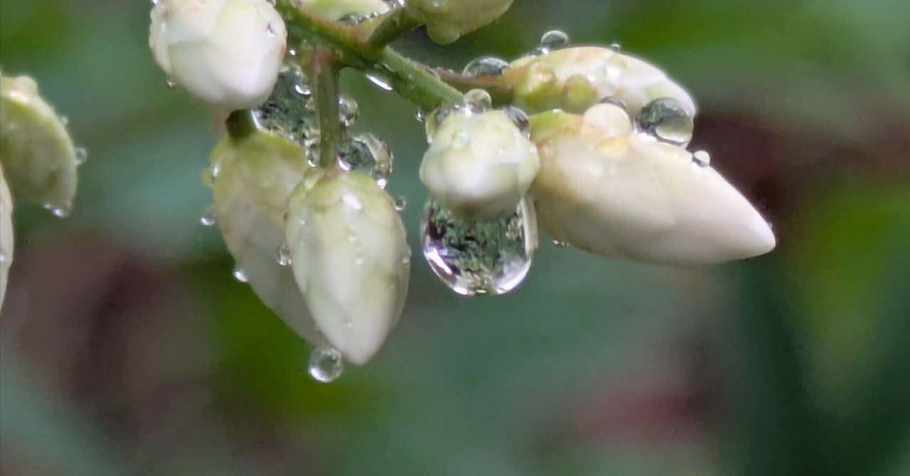 シモキタ☆キラリの唄 #4｜ichiro70