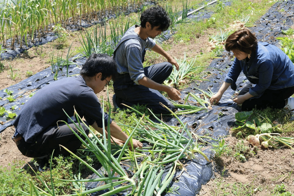 農業の現場を、もっと楽しく。もっとラクに。〜農業プレイヤーのためのコミュニティ『AGRI TIPS CLUB』、先行メンバー募集中 ...