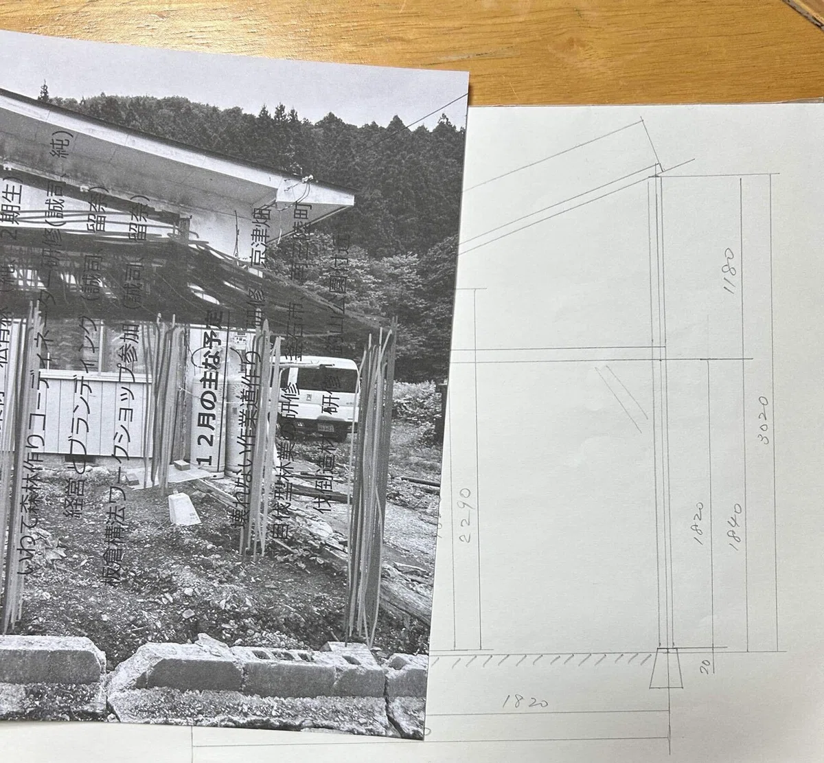 京津畑日記 第100週 5月30日〜6月5日｜一関市自伐型林業地域おこし協力隊マルターニ