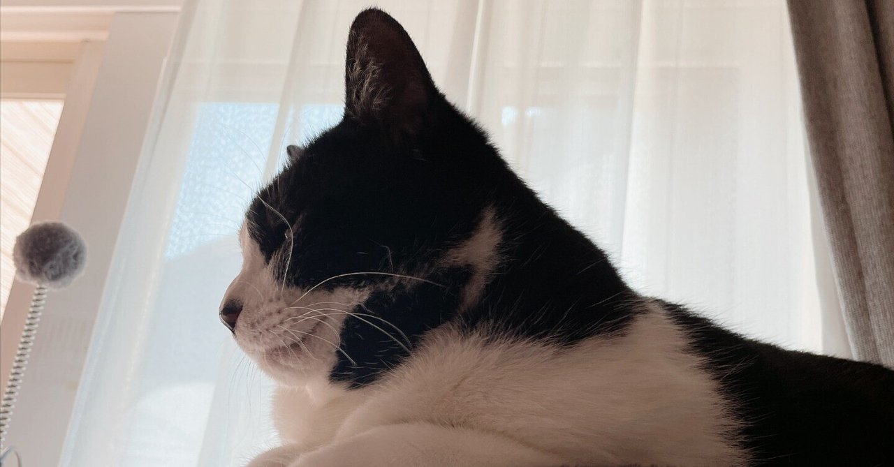 あとだしnikki｜逆毛