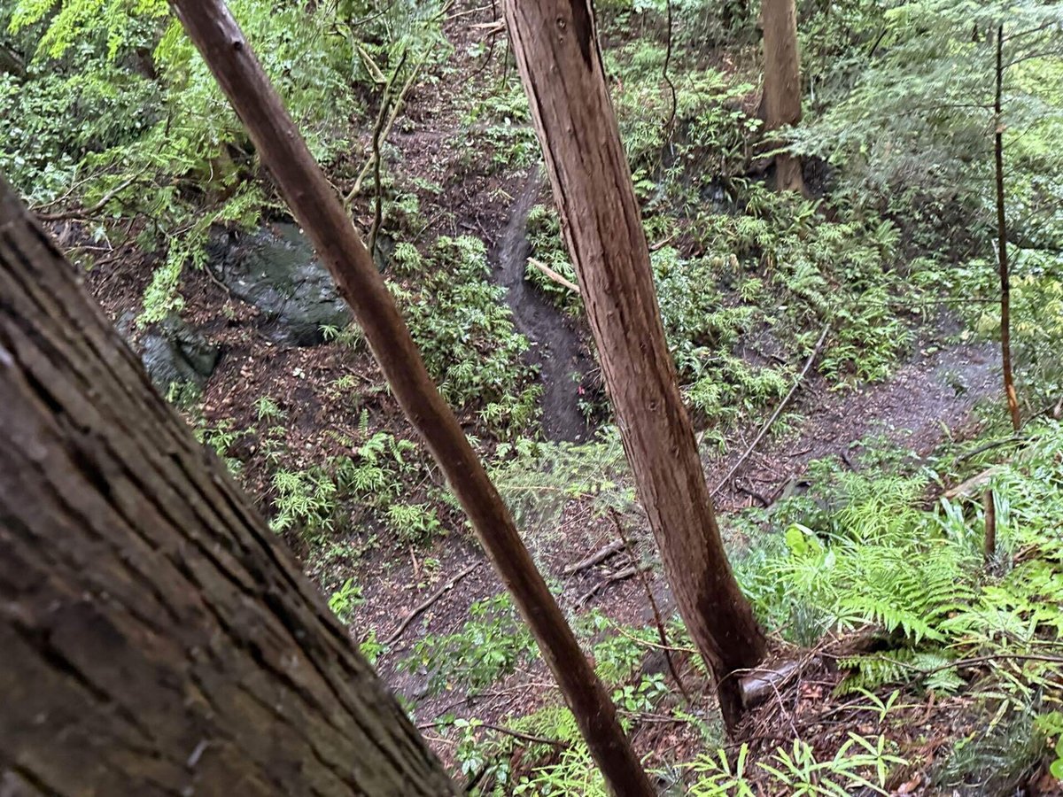 【トレランレース】 2025 Tokyo Grand Trail (TGT)｜コージ・ラモーン（kouji_ramone）