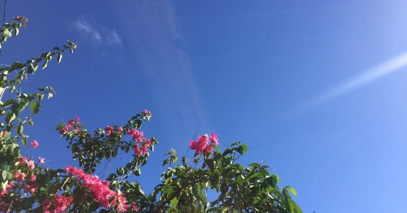 Atsuko Otsuki｜note