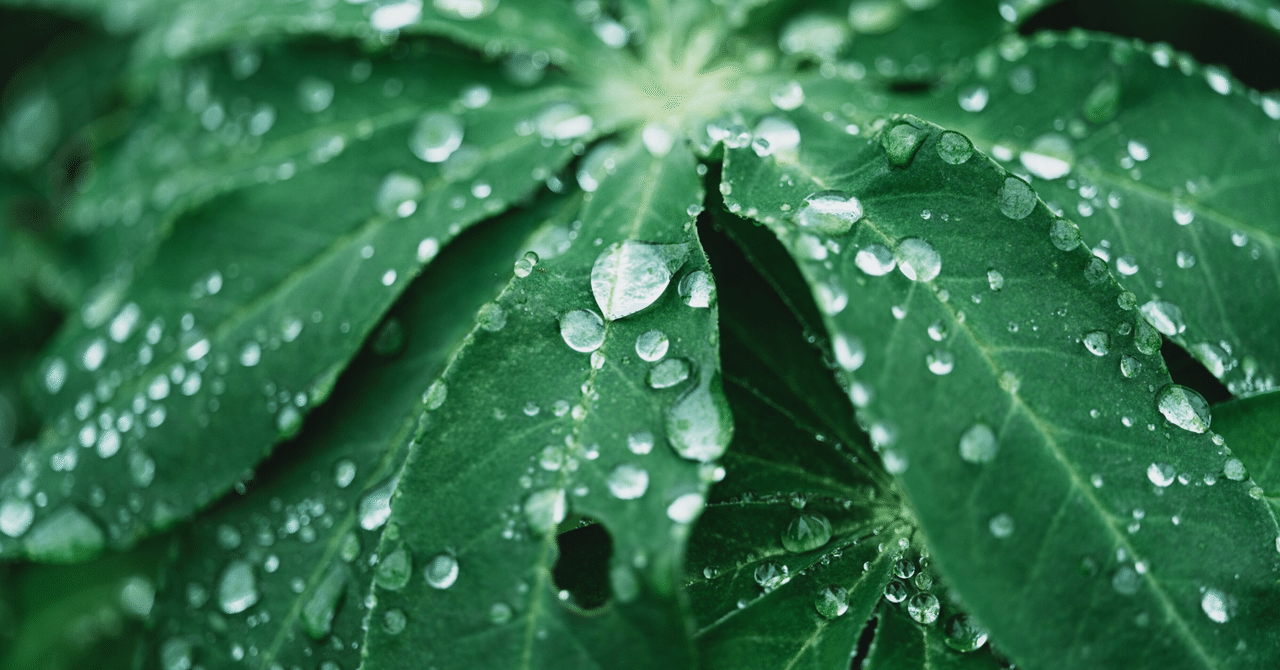 雨の日はよく眠れる。｜Minase Kumi