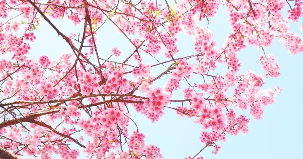 春色｜*michi*｜note