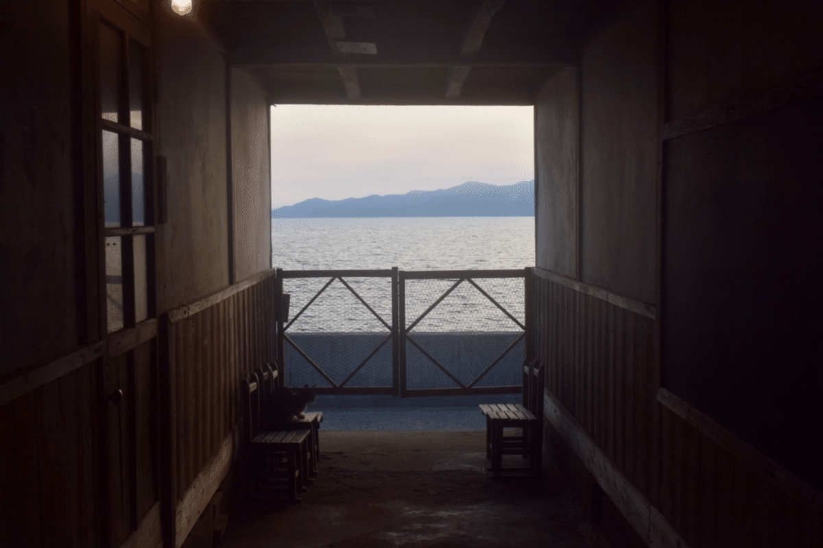 ネコノシマホステル🐈｜hatahata_dayo