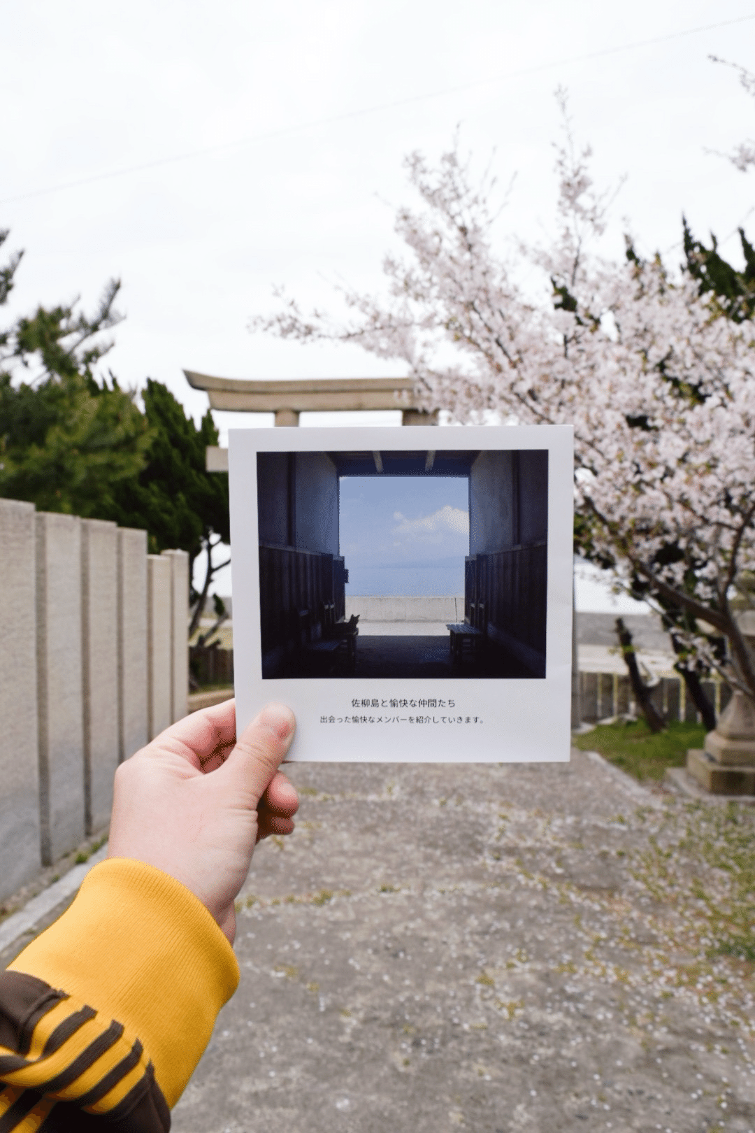 ネコノシマホステル🐈｜hatahata_dayo