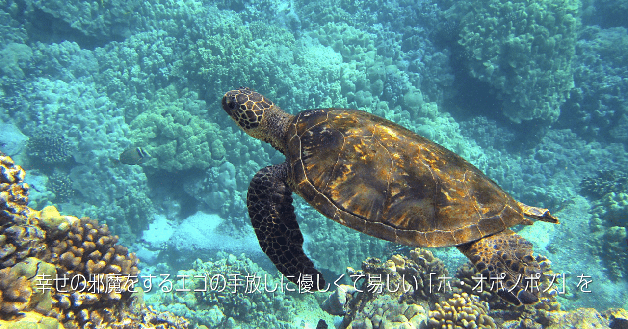 幸せの邪魔をするエゴの手放しに優しくて易しい「ホ・オポノポノ」を｜watashi note yumi