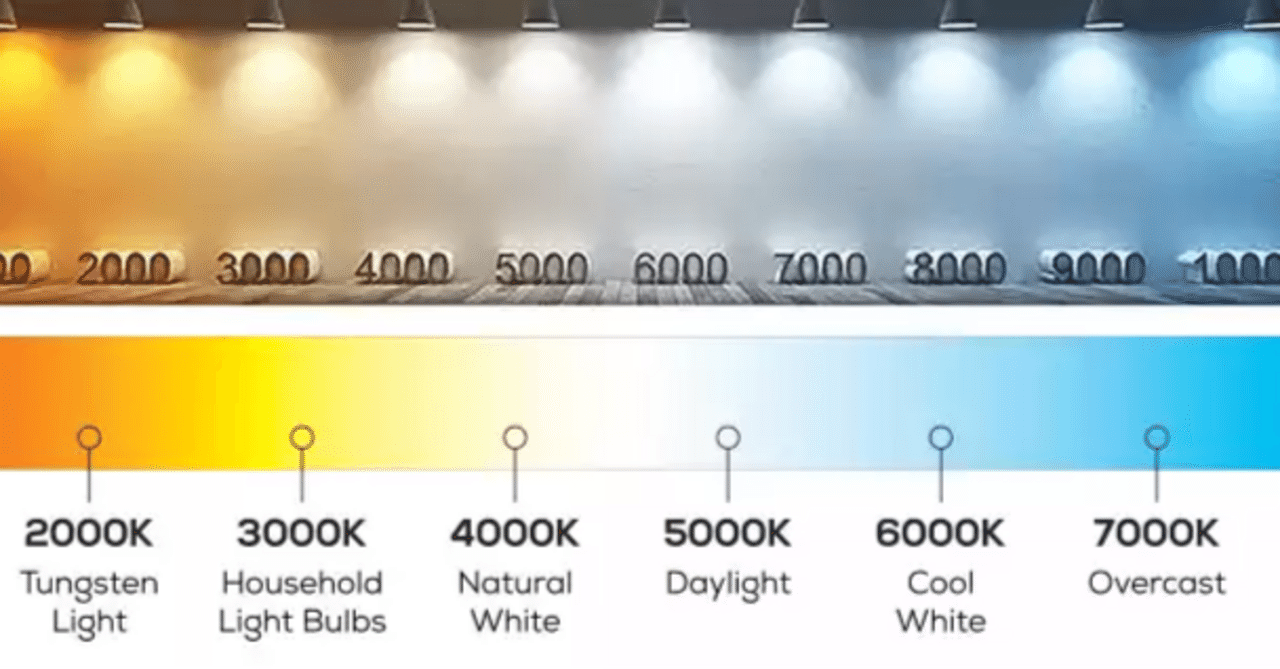 D65と6500Kは何が違うのか？—2つの基準を正しく理解しよう｜渡邉力