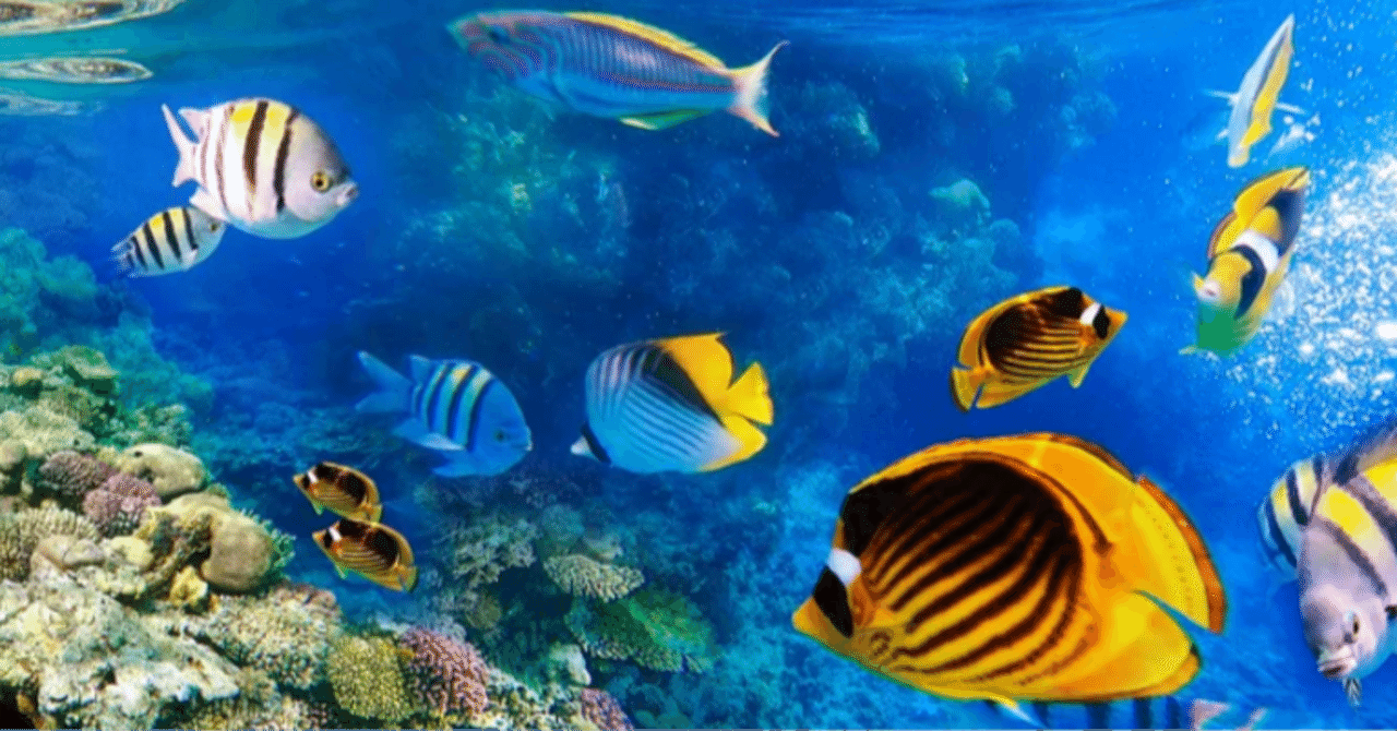 週末だけ島ダイバー TRYスワップで潜る“コスパ最強ブルー”｜TOMO＠スワップ投資家・石垣島に家族移住し、のんびり暮らす40代