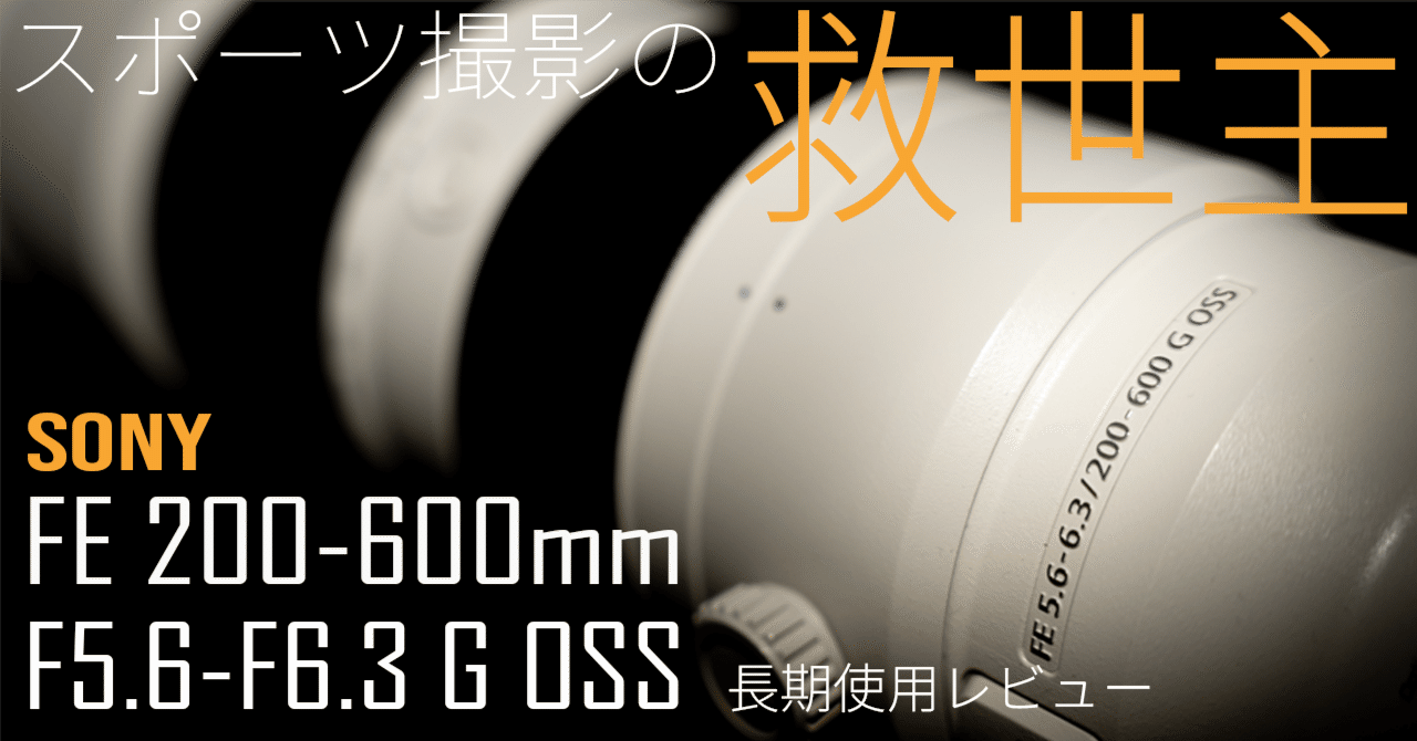 SONY FE 200-600mm F5.6-F6.3 G OSS 長期使用レビュー｜Junichi Fukuda