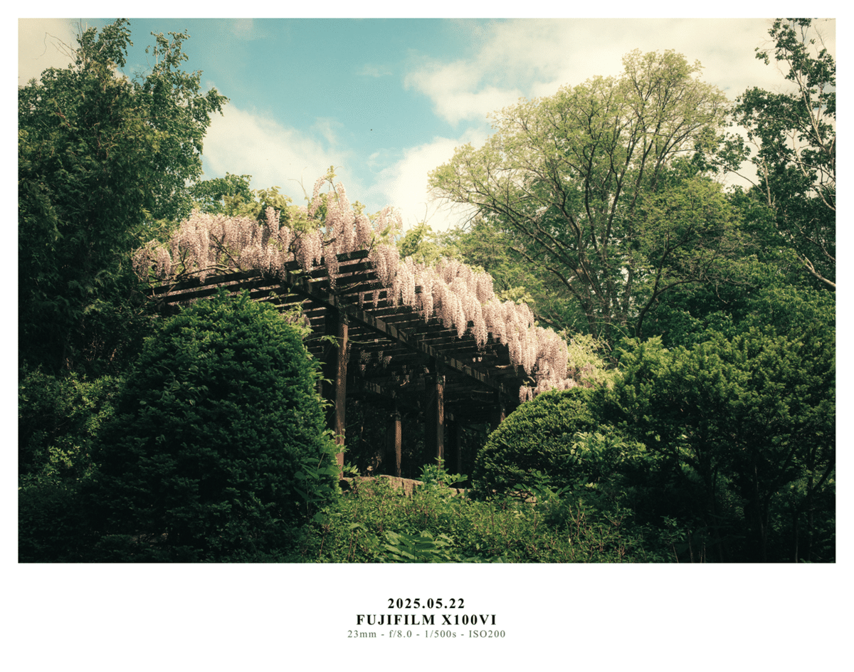 写真の言語化シリーズ27｜Junn Kaga