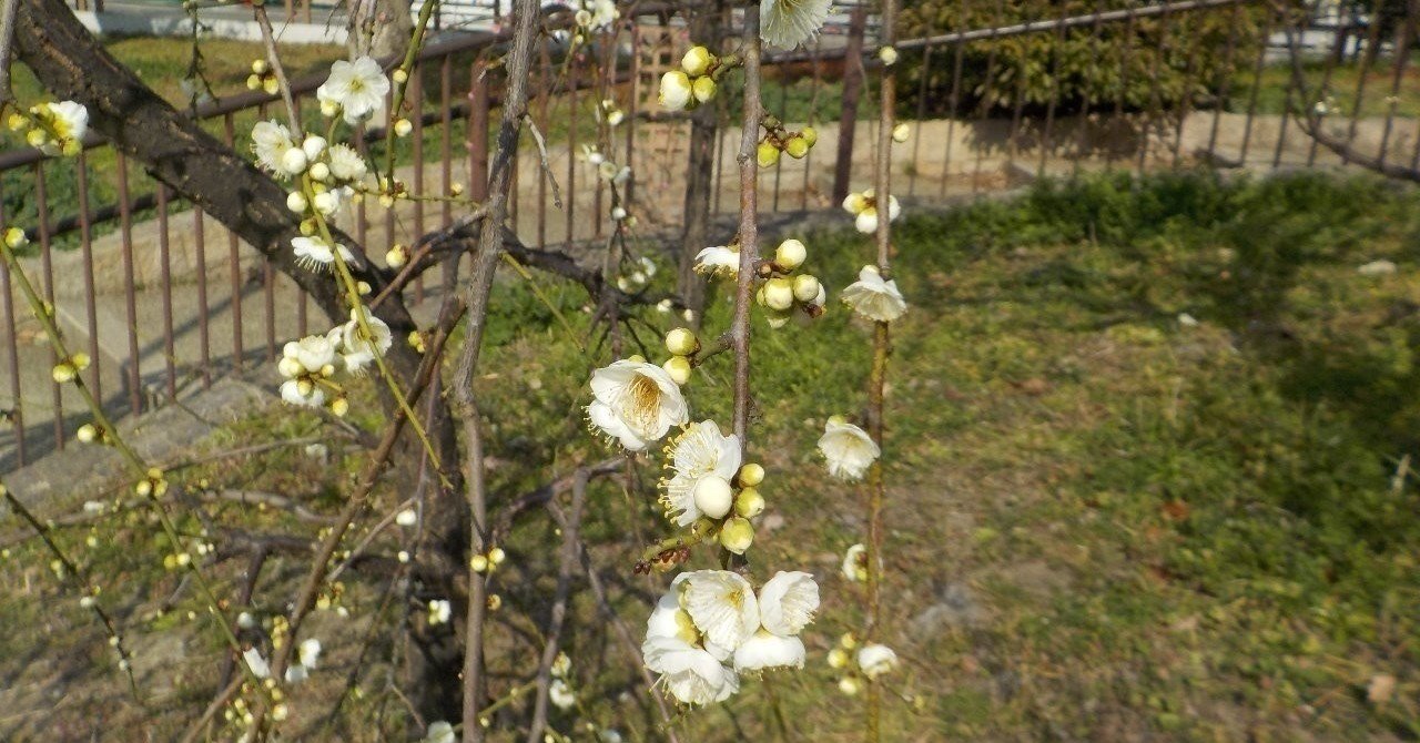 仮説の検証を繰り返す｜Takahiro Matsui